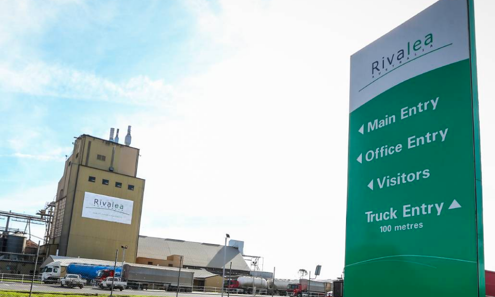 Rivalea Case Study | Toustone